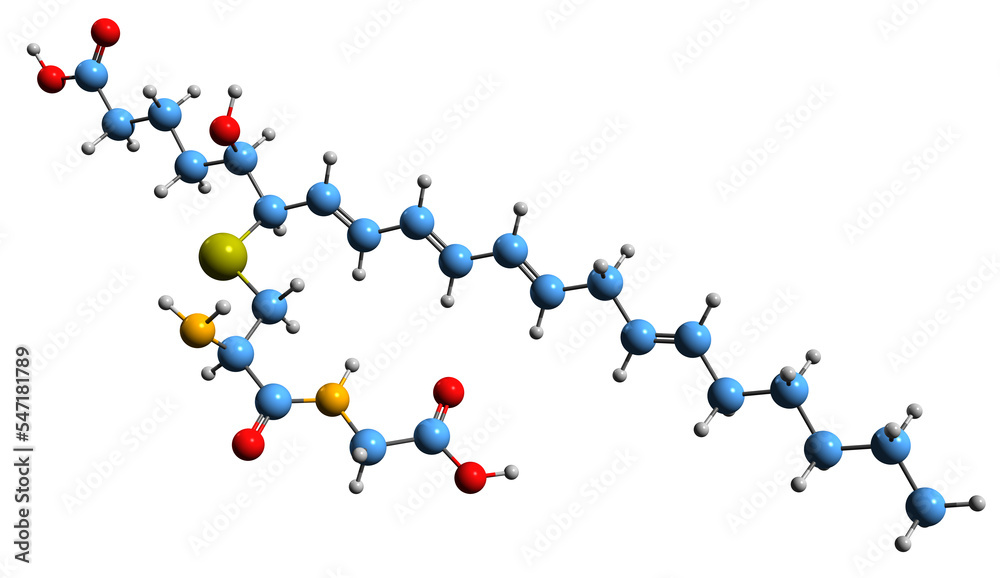 Eicosanoid Structure