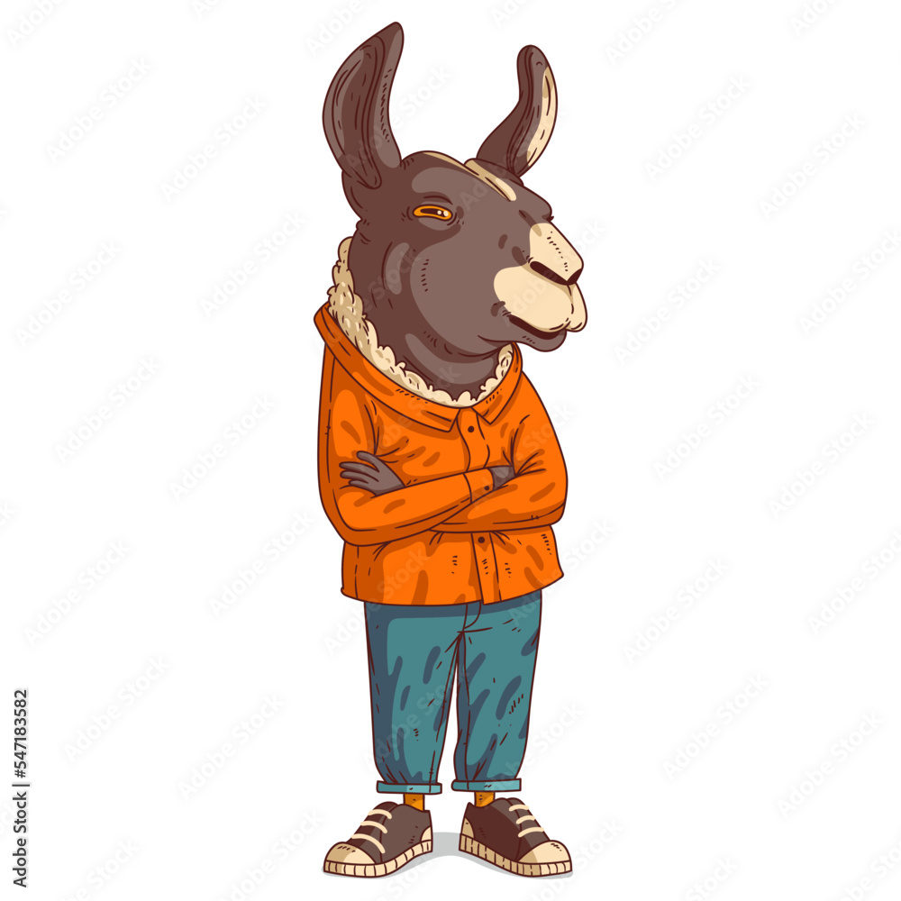 A Llama Person, isolated vector illustration. Cartoon picture of a ...