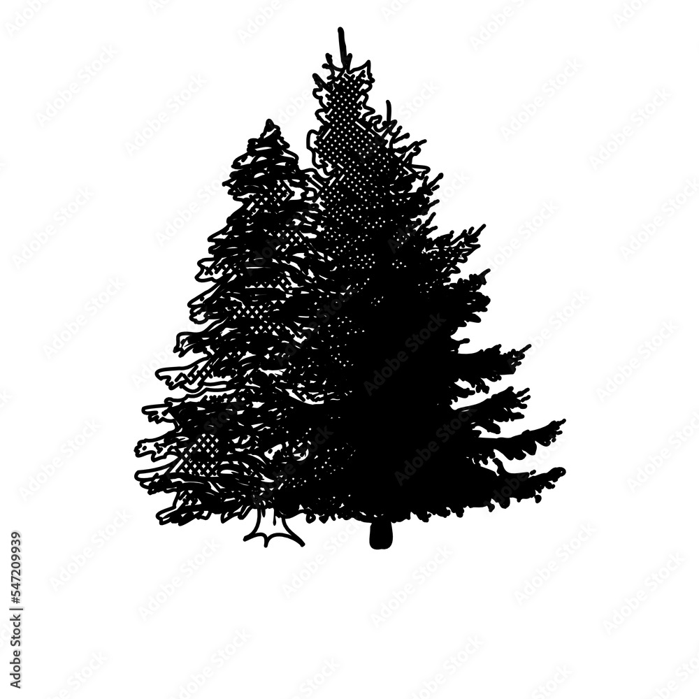 black and white drawing sketch of pine tree with transparent background ...