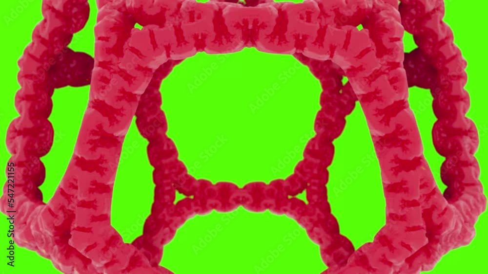 Alien-type monster high-quality 3D model animation 4k Resolution with ...