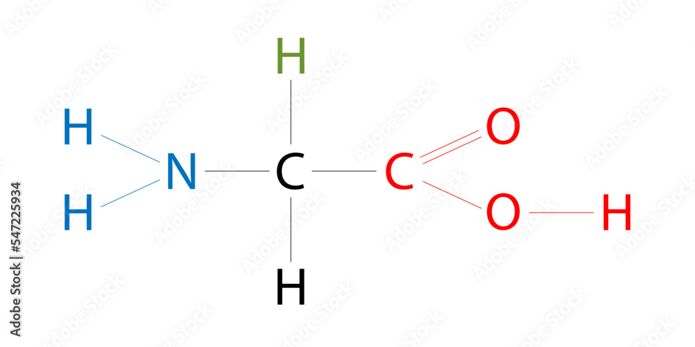 The structure of Glycine. Glycine is an amino acid that has a single ...