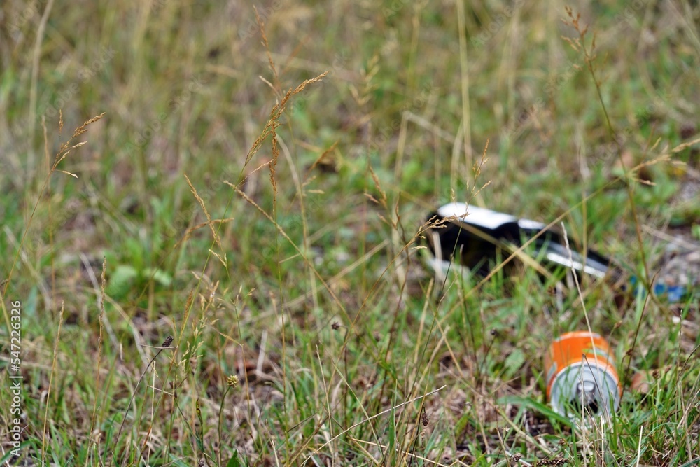 Grass background with defocused trash, a tin and a wine bottle. There ...