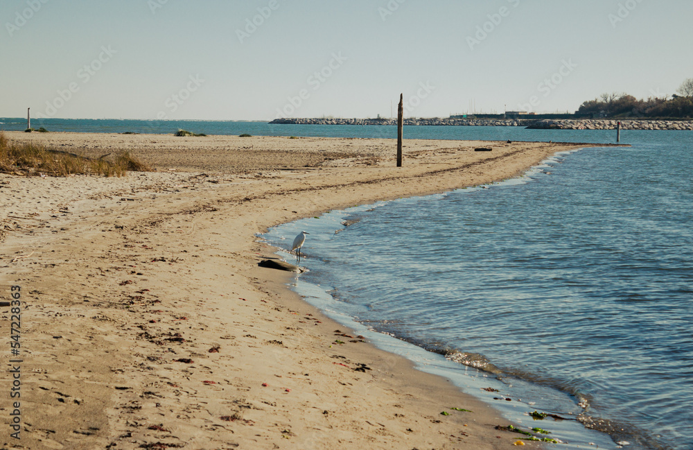 Marine landscape. View of the dark sand beach. Porto Caleri, Rosolina ...