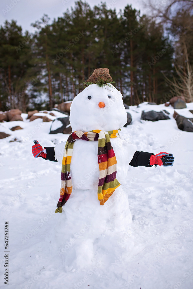 Happy boy stands behind the snowman and gives thumbs up, as if the ...