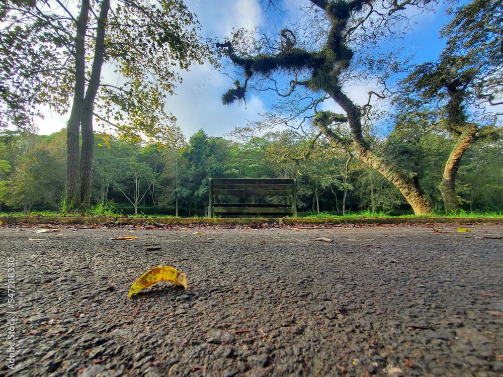 silla en la naturaleza, banca en el parque, silla de parque Stock Photo ...