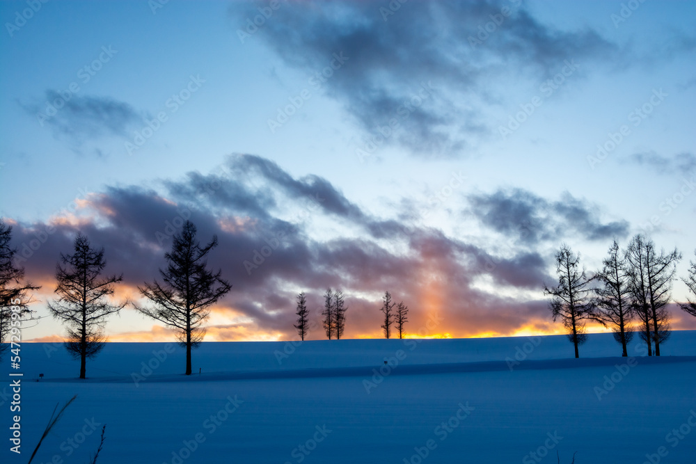 冬の夕暮れの丘に立つ冬木立と太陽柱 Stock Photo | Adobe Stock