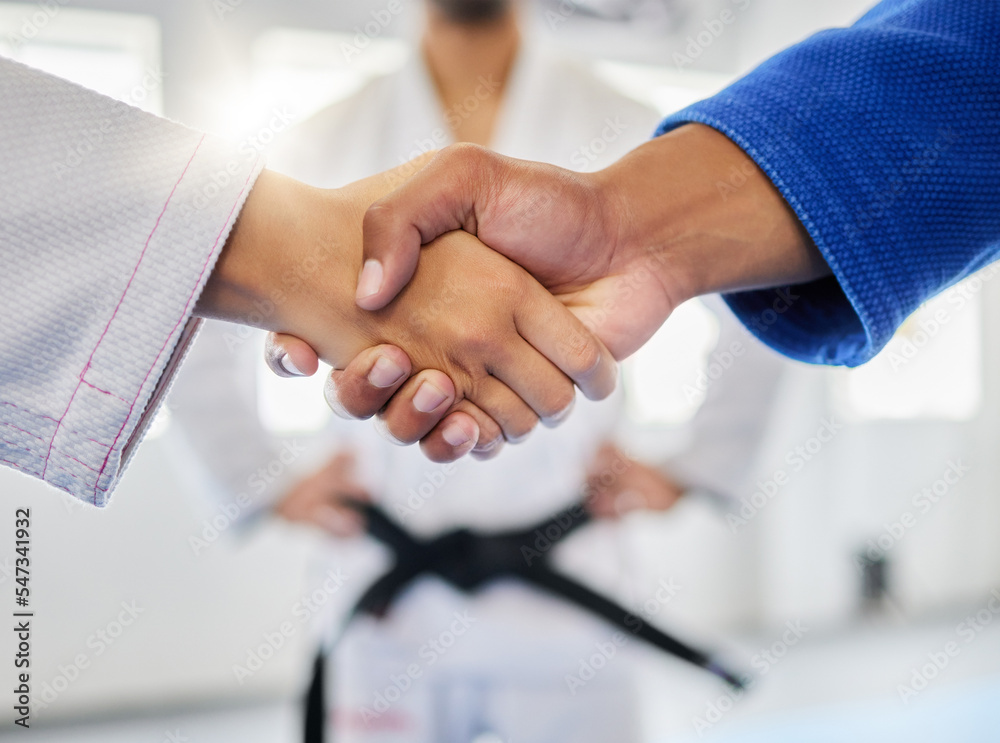 Handshake, karate and sports with a man and woman fighter shaking hands ...