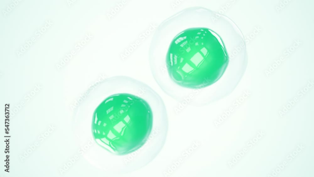 Chloroplast eukaryotic cell animation under the microscope. Green microscopic formation in a ...