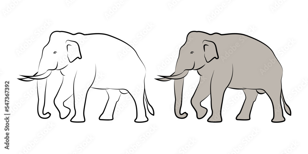 Black line drawing of an elephant on a white background isolated. Stock ...