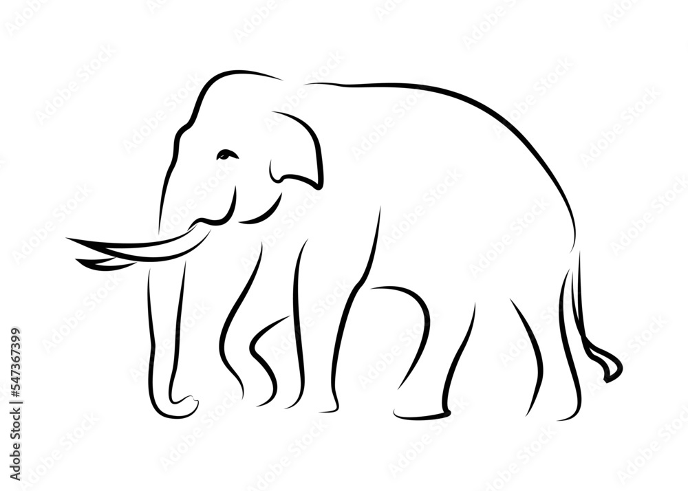 Black line drawing of an elephant on a white background isolated. Stock ...