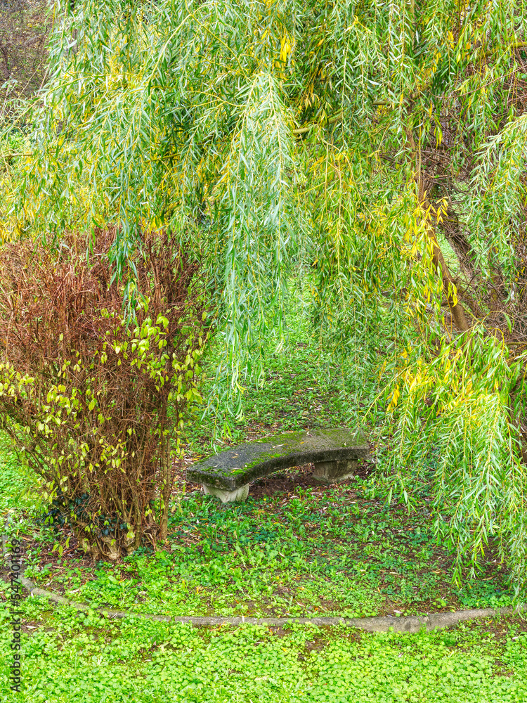Rounded stone bench under weeping willow foliage, fall colors Stock ...