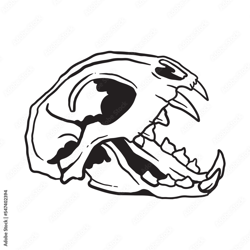 Cat Skull Illustration Coloring Page Stock Vector | Adobe Stock