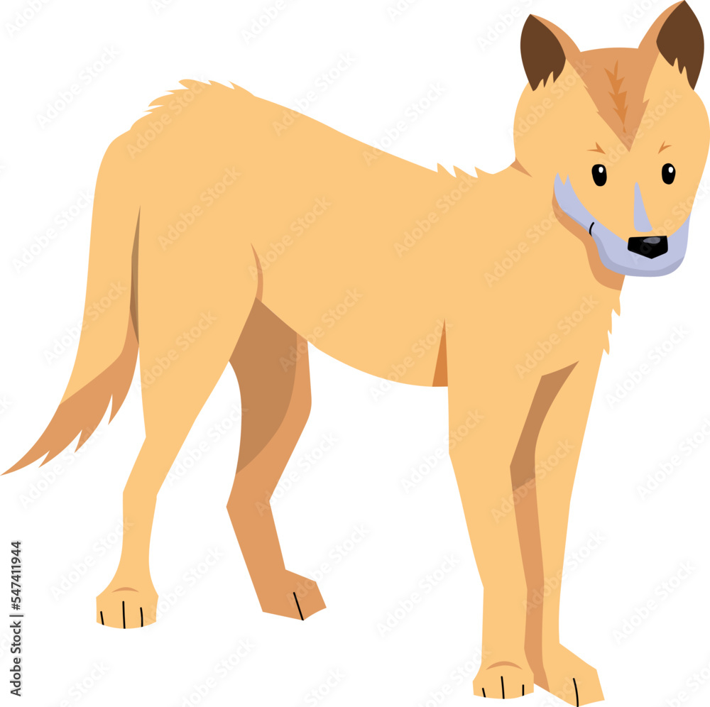 Cute cartoon dingo dog isolated on white background. Australian animal ...