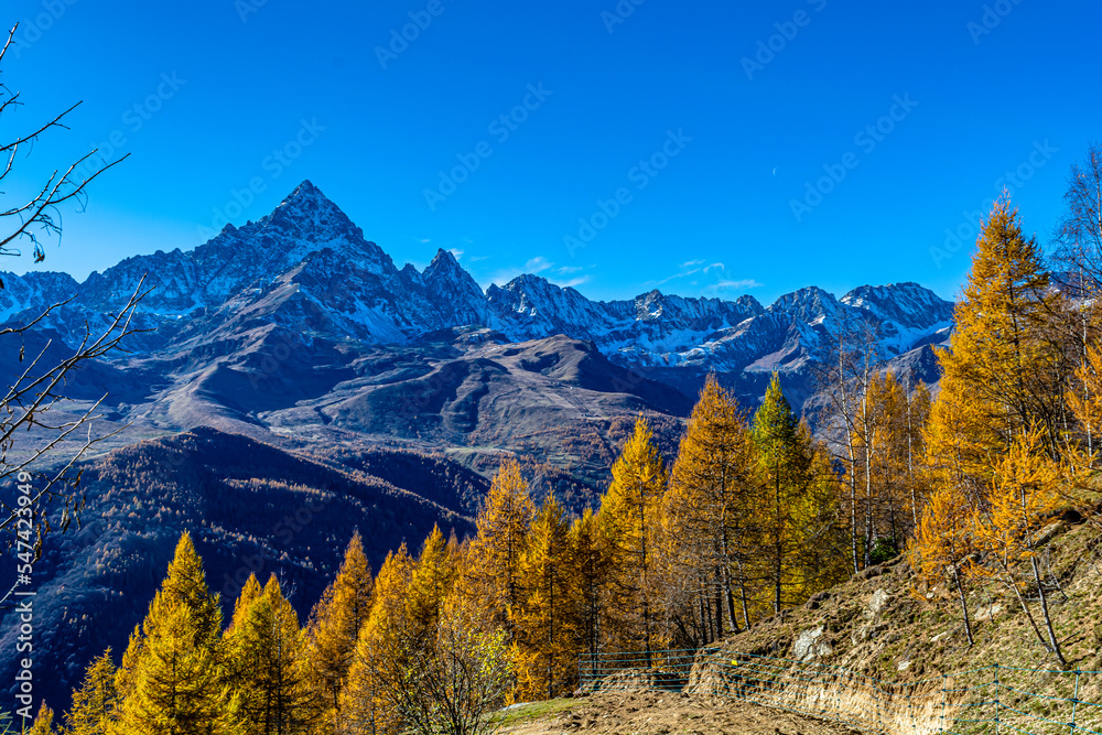 Foto de Tutto l'oro del Monviso. Ostana uno dei borghi più belli d ...