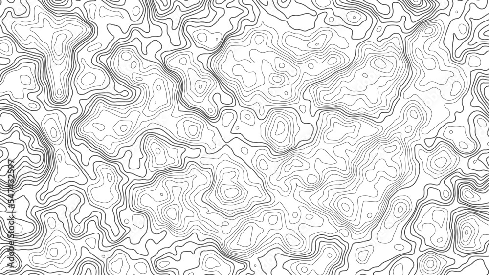 Vecteur Stock Abstract white topography vector background. Line ...