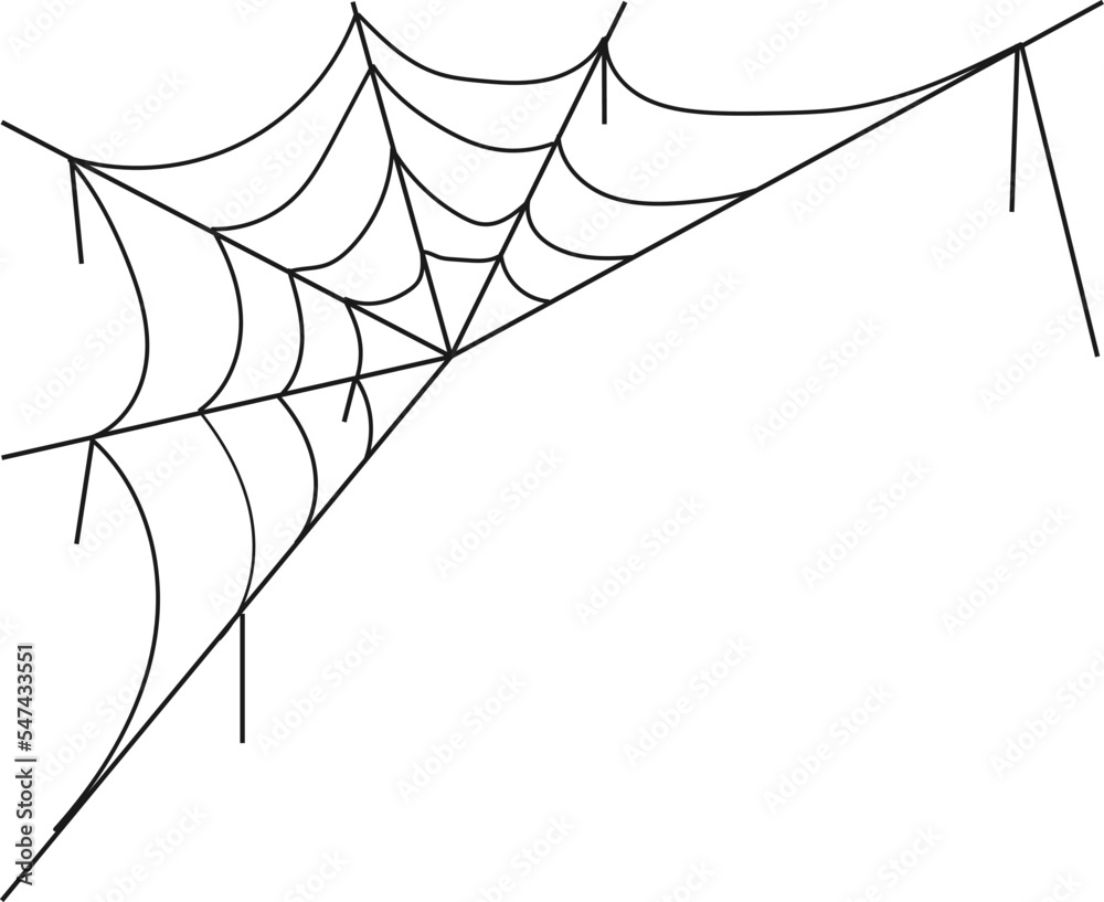 Cobweb, realistic web woven by a spider on a white background. Vector ...