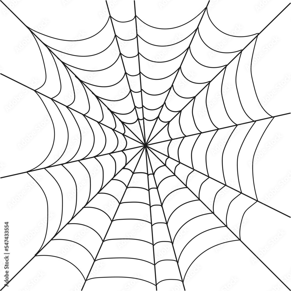 Cobweb, realistic web woven by a spider on a white background. Vector ...