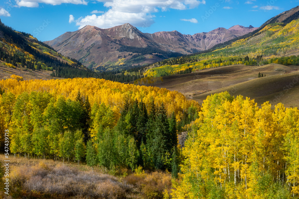 Big Autumn View wall mural wallpaper | Muraledesign.com