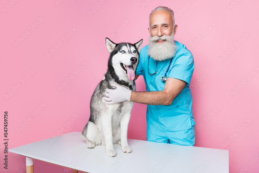 Does The Alaskan Husky Have Rabies