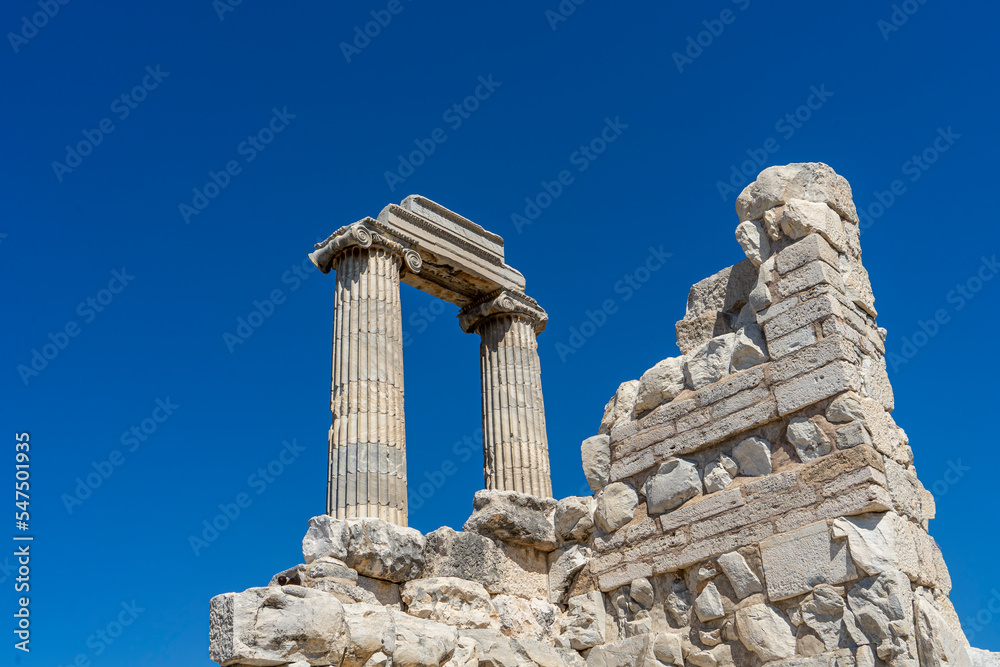 Ruins and ionic columns of Apollo Temple in Didim, Didyma ancient city ...