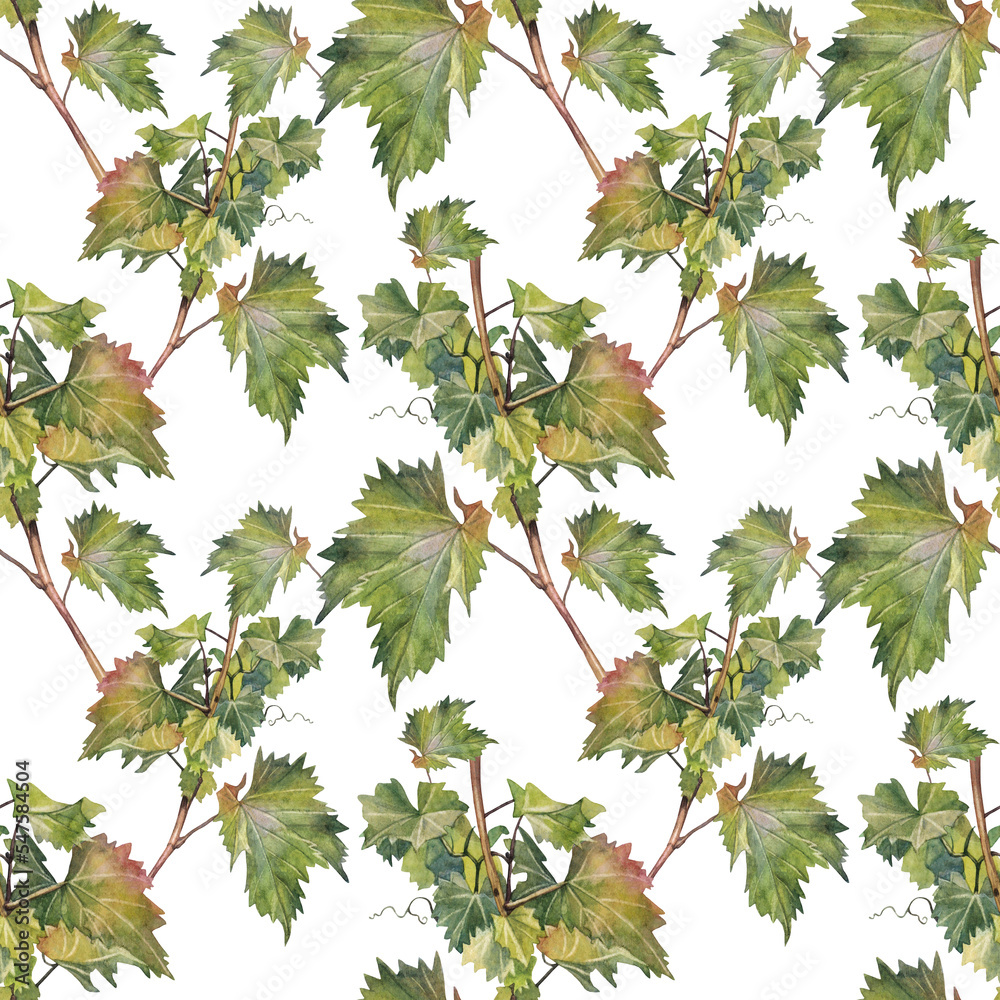 Seamless pattern watercolor grape leaves on white background. Hand ...
