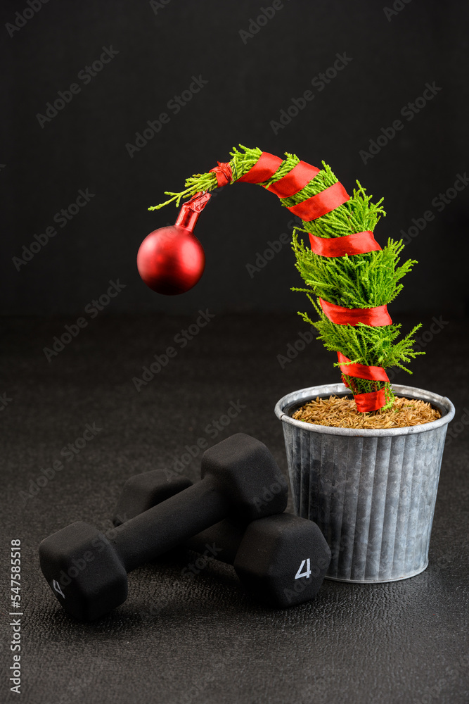 Grinch Christmas tree, Lemon Cypress tree, wrapped in red ribbon with a ...