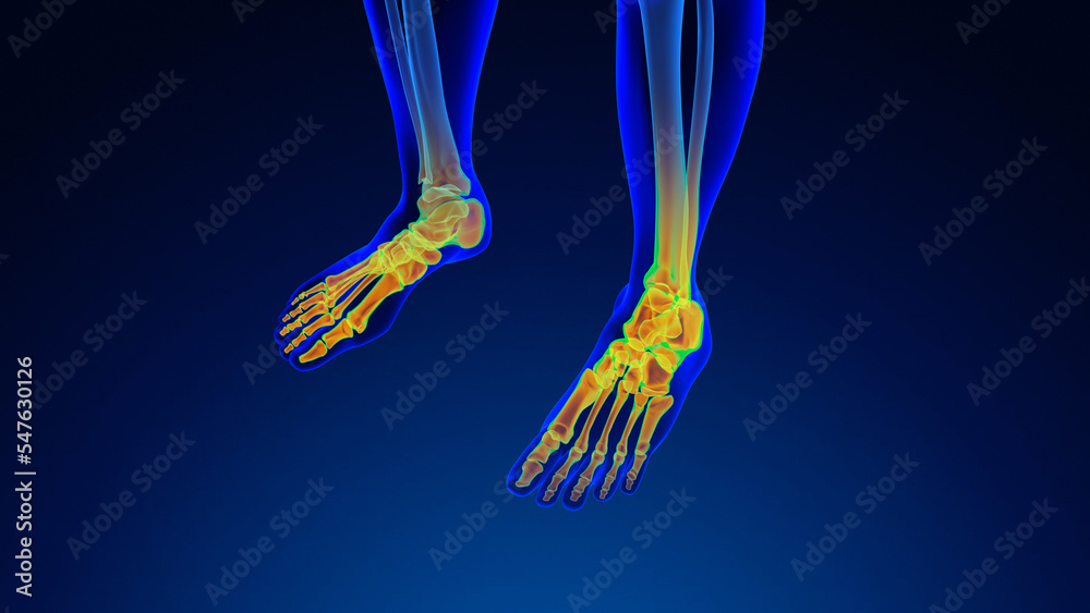 Human foot pain medical background Stock Illustration | Adobe Stock