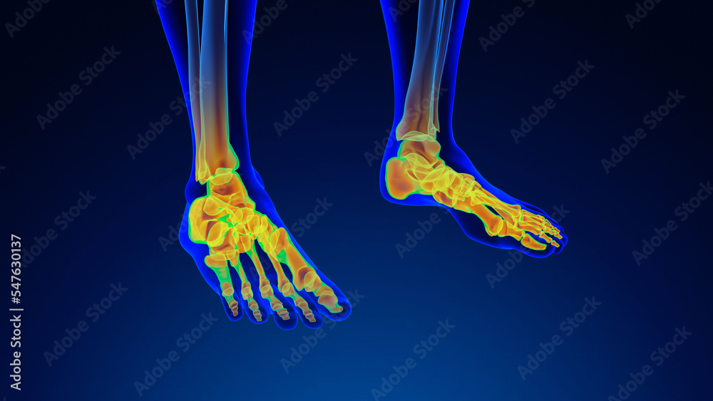 Human foot pain medical background Stock Illustration | Adobe Stock
