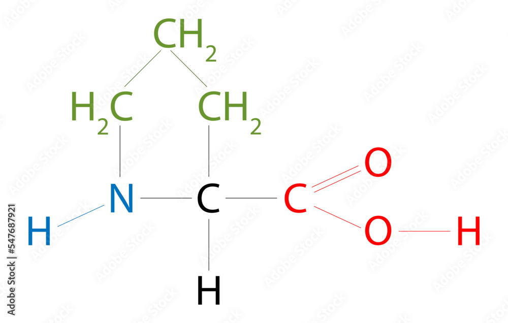 The structure of Proline. Proline is an organic acid classed as a ...