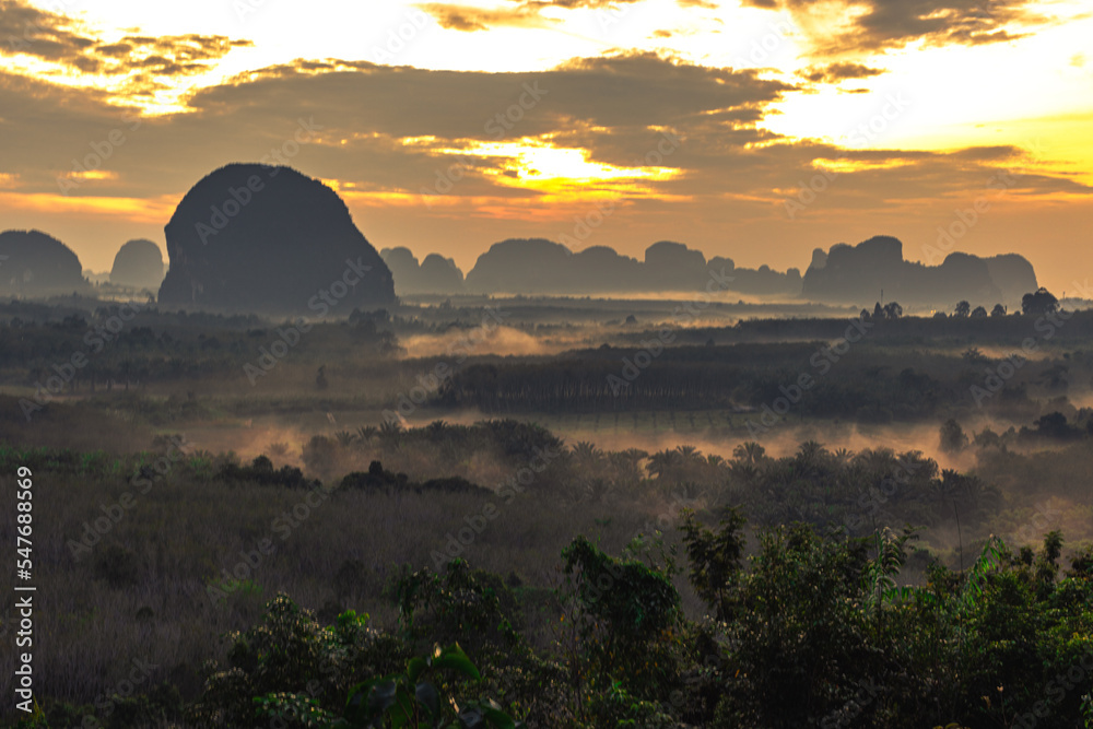 Blurred nature background view of naturally occurring trees and ...