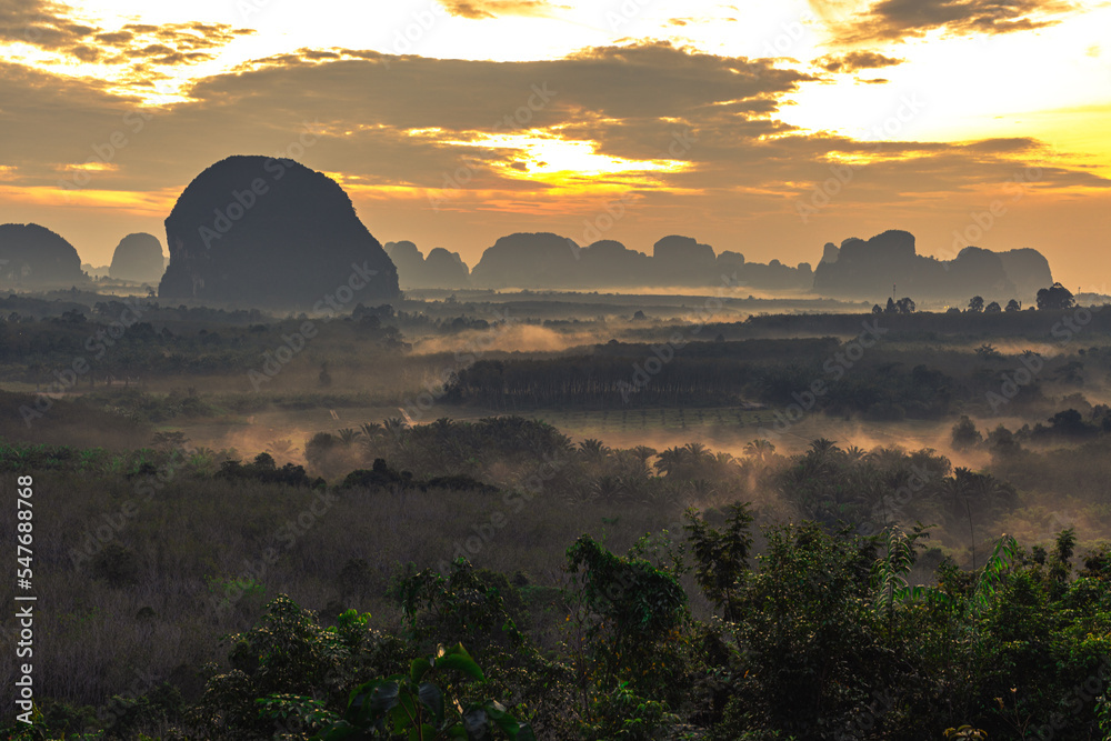 Blurred nature background view of naturally occurring trees and ...