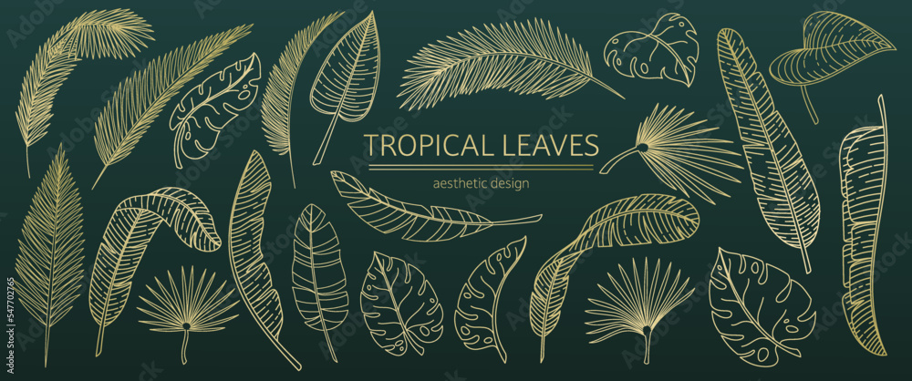 Golden tropical leaves line icons set vector illustration. Hand drawn ...