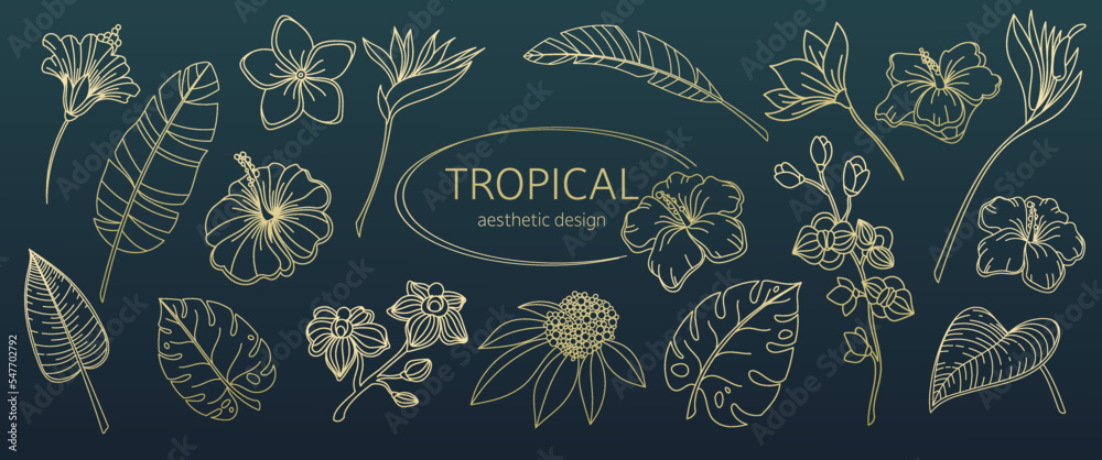 Golden leaves and flowers from tropics line icons set vector ...