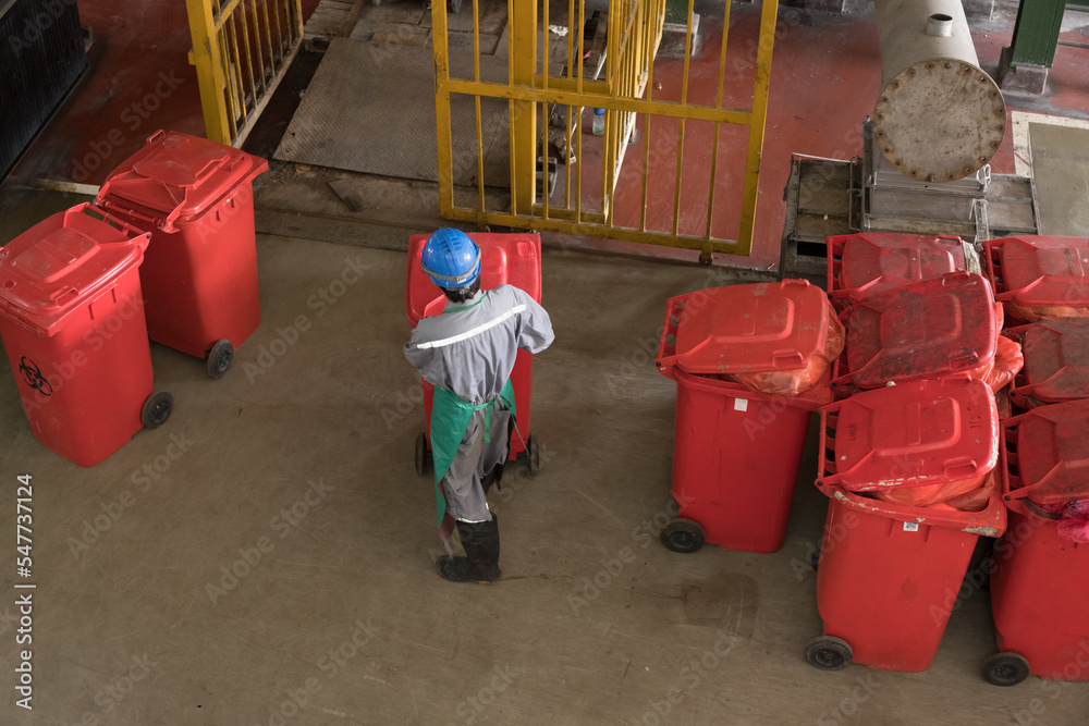Workers sort infected bins for destruction in a waste disposal facility ...