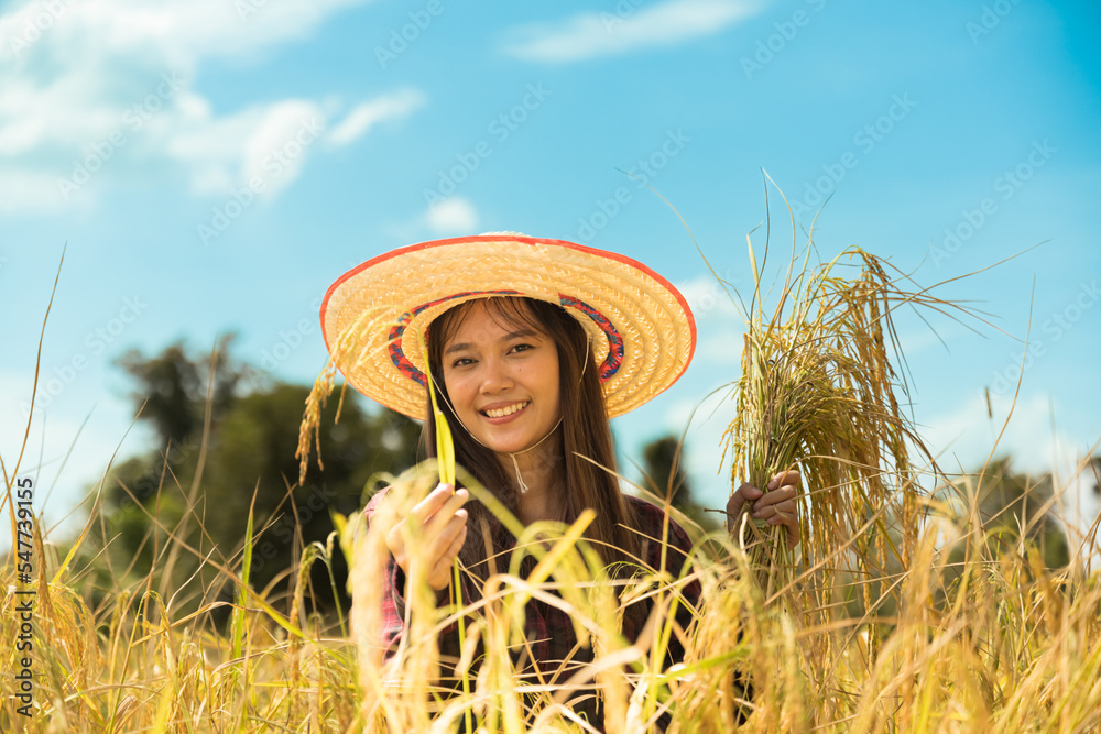 Portrait Asian young woman farmer smile and harvesting in the rice ...