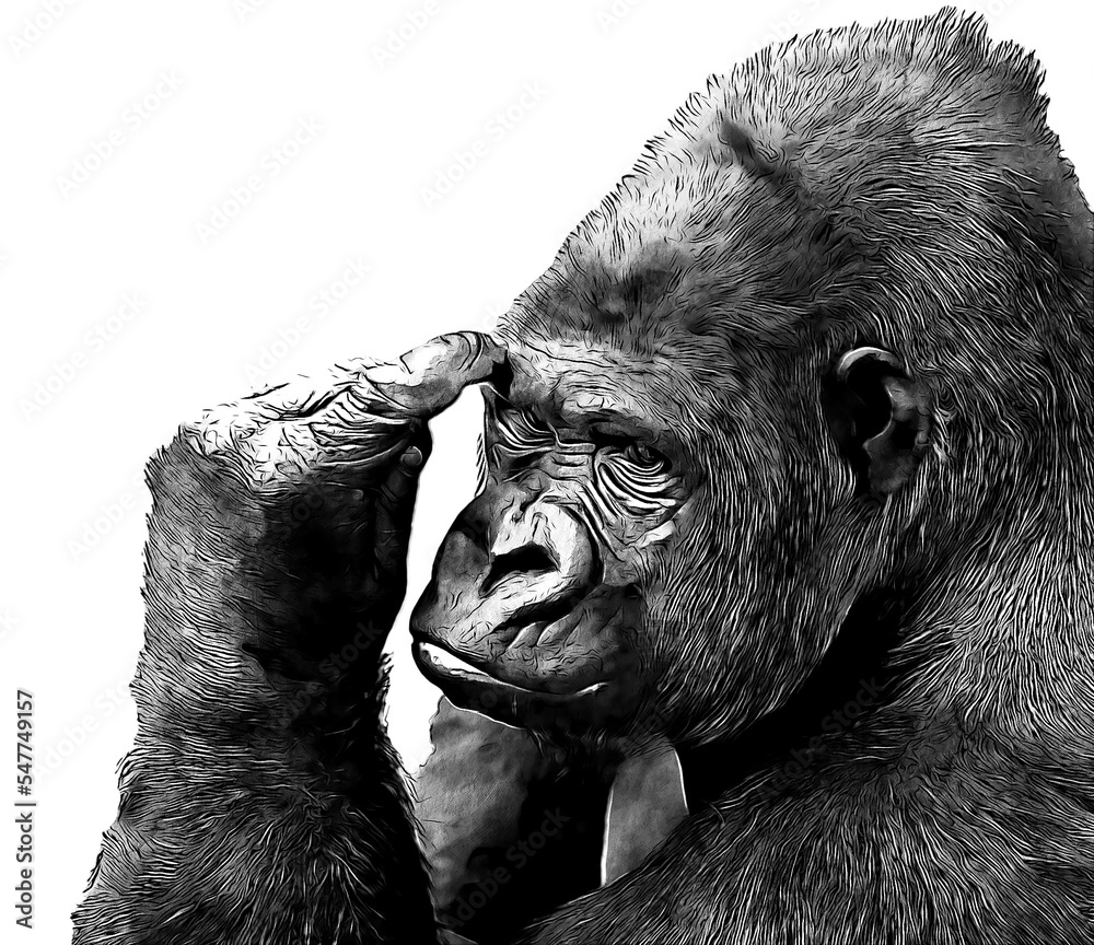 Thinking Gorilla Drawing