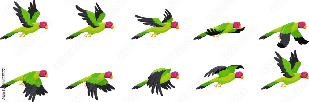 Vetor do Stock: Parrot animation. Animated parrots flight, flying bird ...