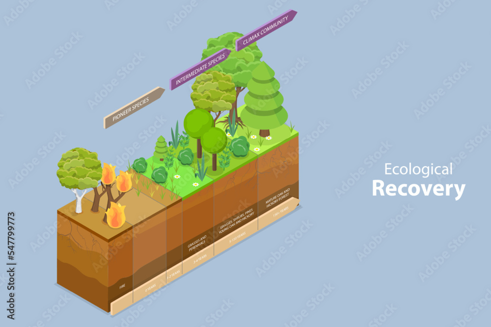 3D Isometric Flat Vector Conceptual Illustration of Ecological Recovery ...
