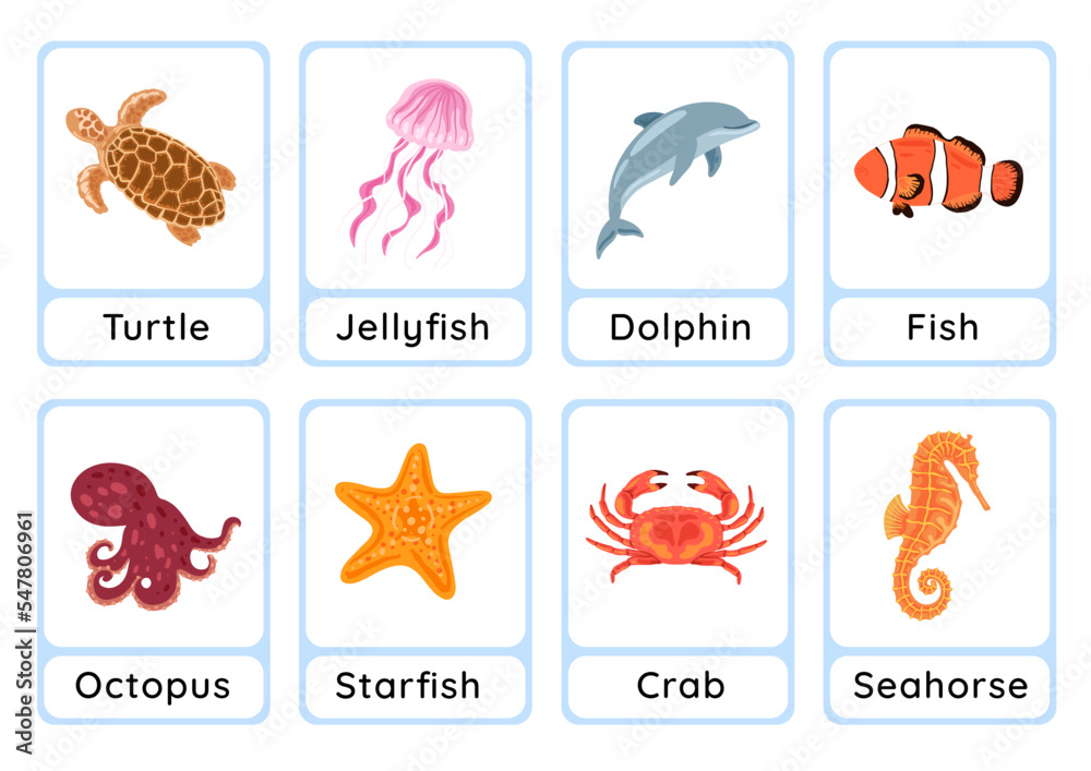 Ocean animals flashcard collection for children education, printable ...