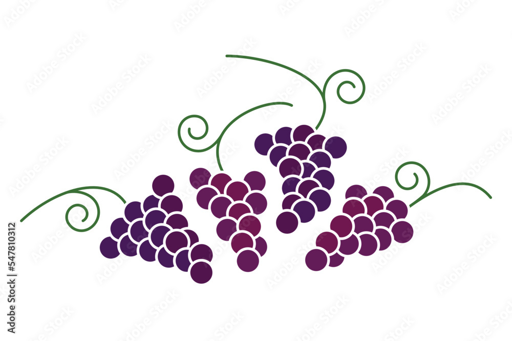 Grape bunches, wine label icon set, different wine grapes, grape big ...