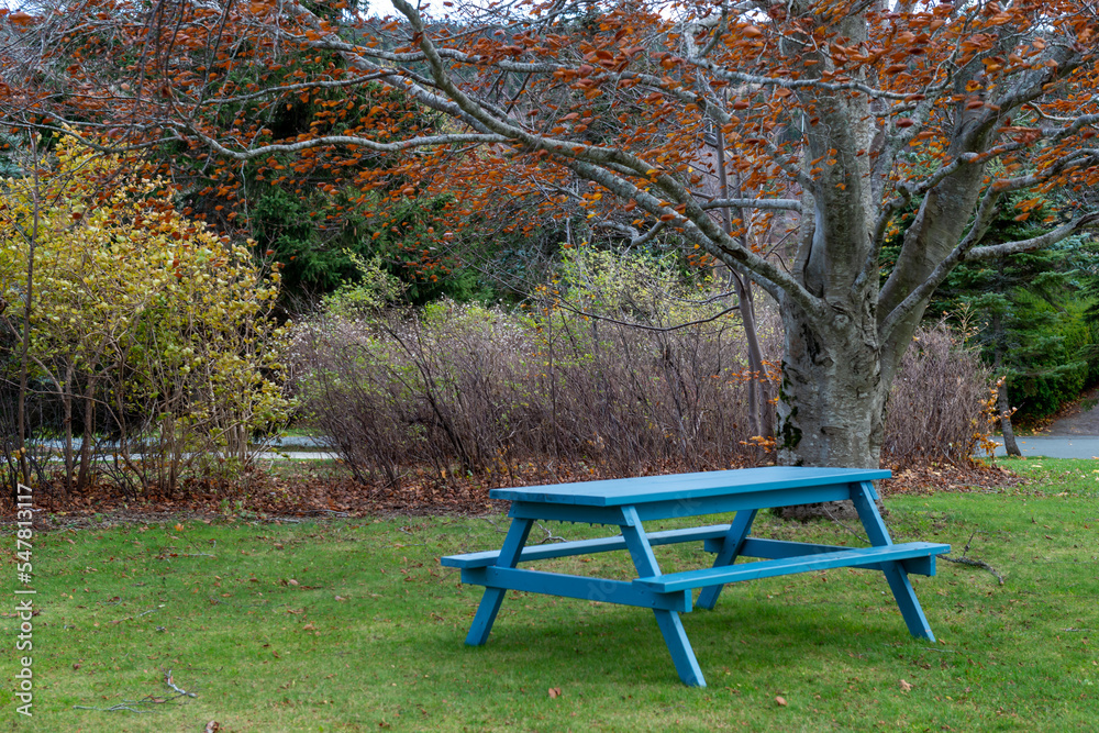 An empty blue wooden picnic table on vibrant lush green grass with ...