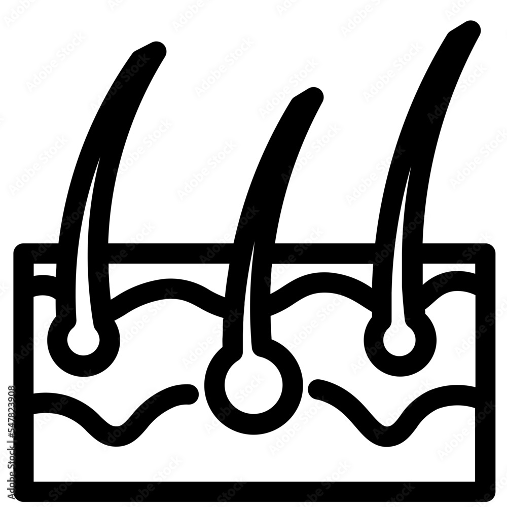 Anatomy Dermis Epidermis Hair Organ Skin Icon Stock Vector | Adobe Stock
