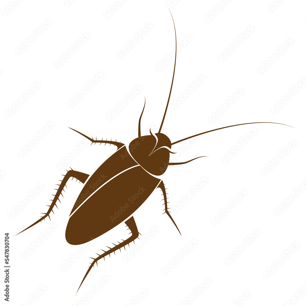 Image of cockroach design isolated on transparent background. Animals ...