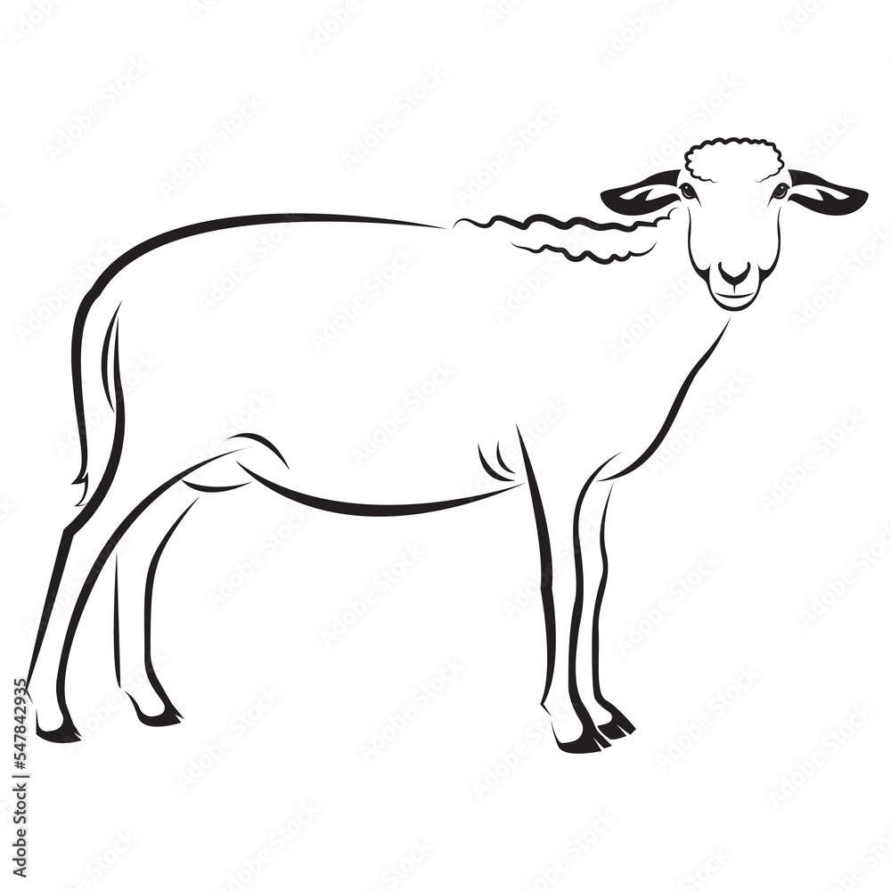 Sheep design isolated on transparent background. Farm Animals. Stock ...