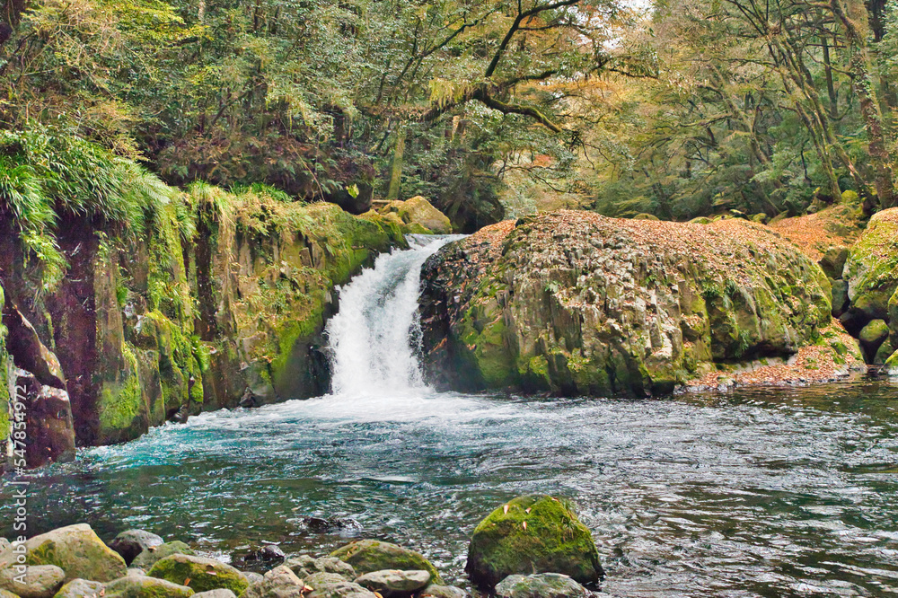 Beautiful scenery of a waterfall with autumn leaves at Kikuchi Keikoku ...