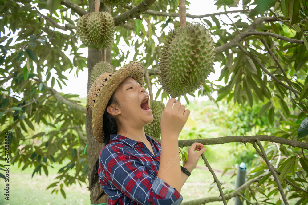 Happy teenager asian woman farmer holding durian in durian plantation ...