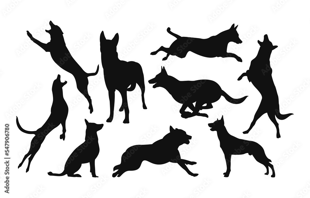 Set of belgian malinois dog silhouette isolated one white background ...
