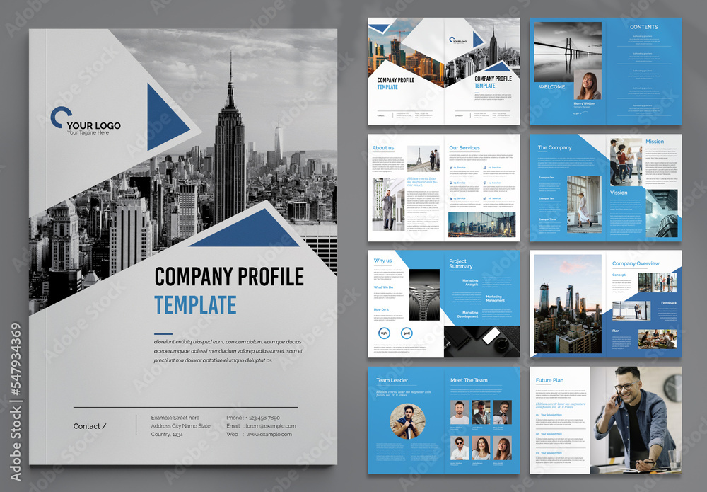 Company Profile Layout Stock Template | Adobe Stock