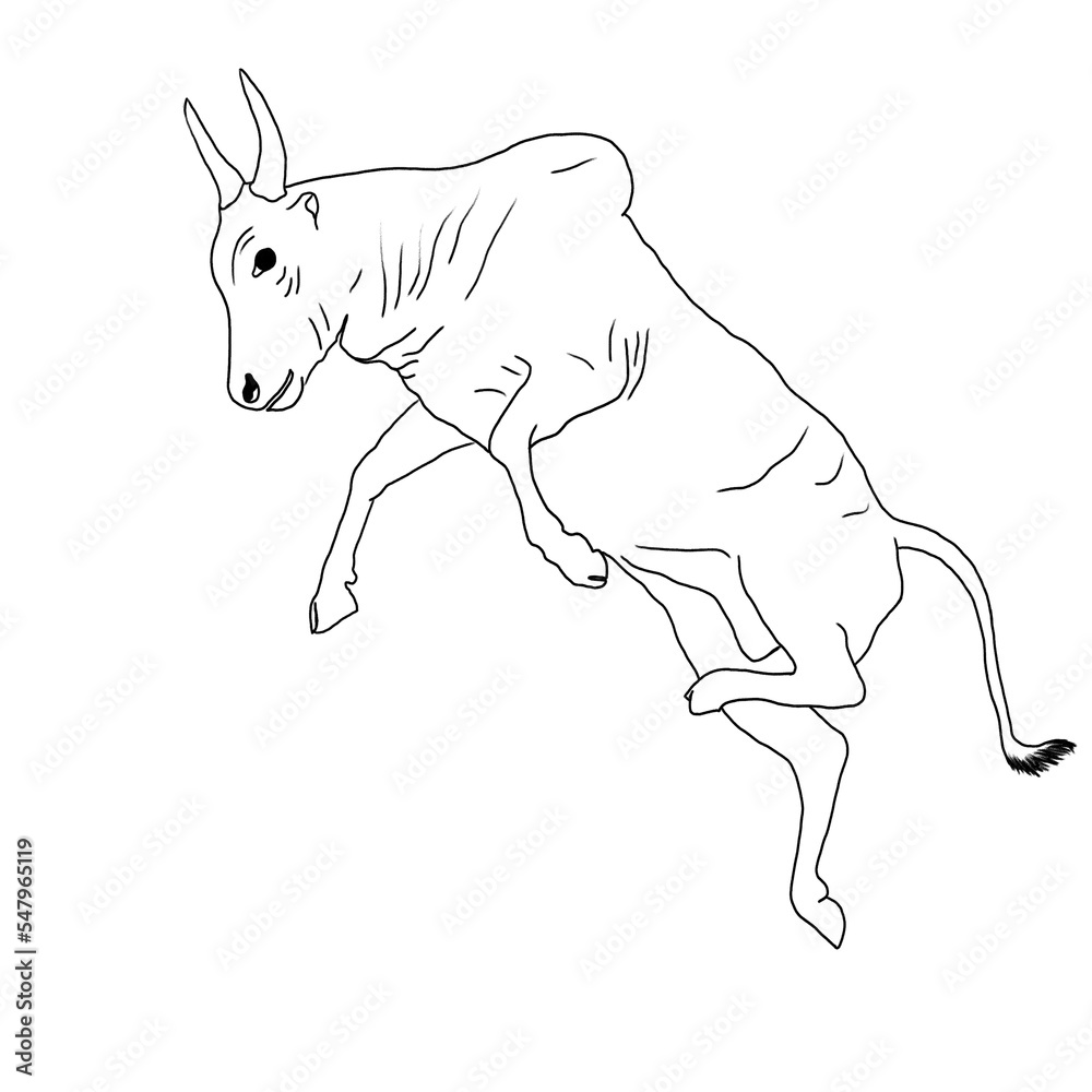 Kangayam Bull – Jallikattu Bull Stock Illustration | Adobe Stock