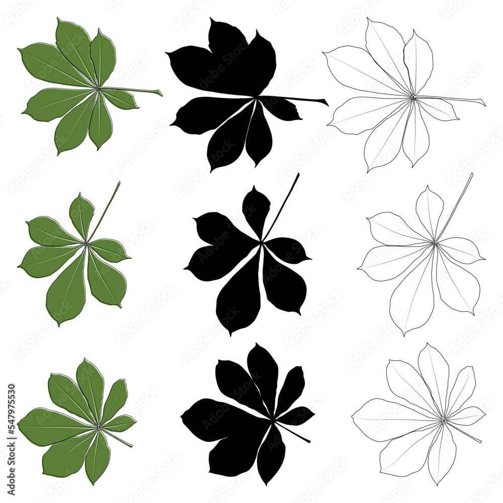 Set of vector chestnut leaf outline, silhouette black and coloured icon. Simple chestnut leaves ...